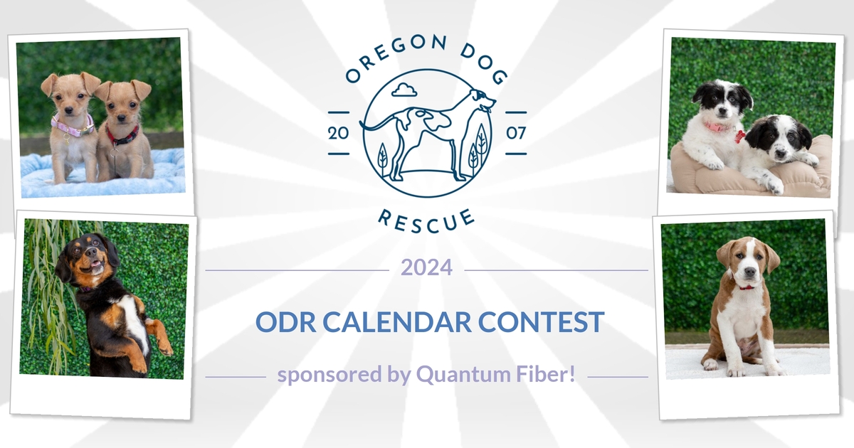 ODR | 2024 Oregon Dog Rescue Calendar Contest Sponsored by Quantum Fiber