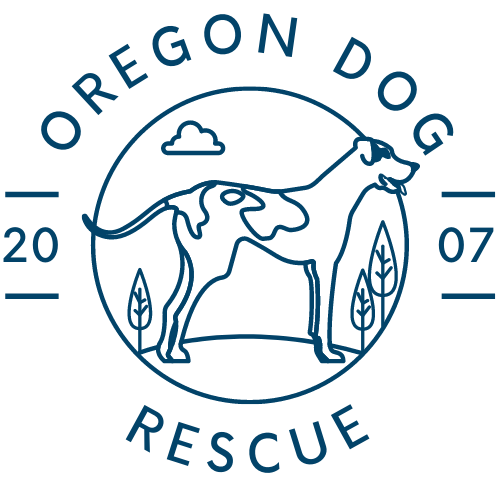 ODR | Oregon Dog Rescue 2025 Calendar Contest Sponsored by Quantum Fiber