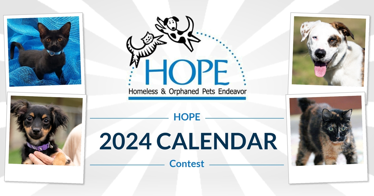 Homeless & Orphaned Pets Endeavor (HOPE) | HOPE 2024 Calendar Contest