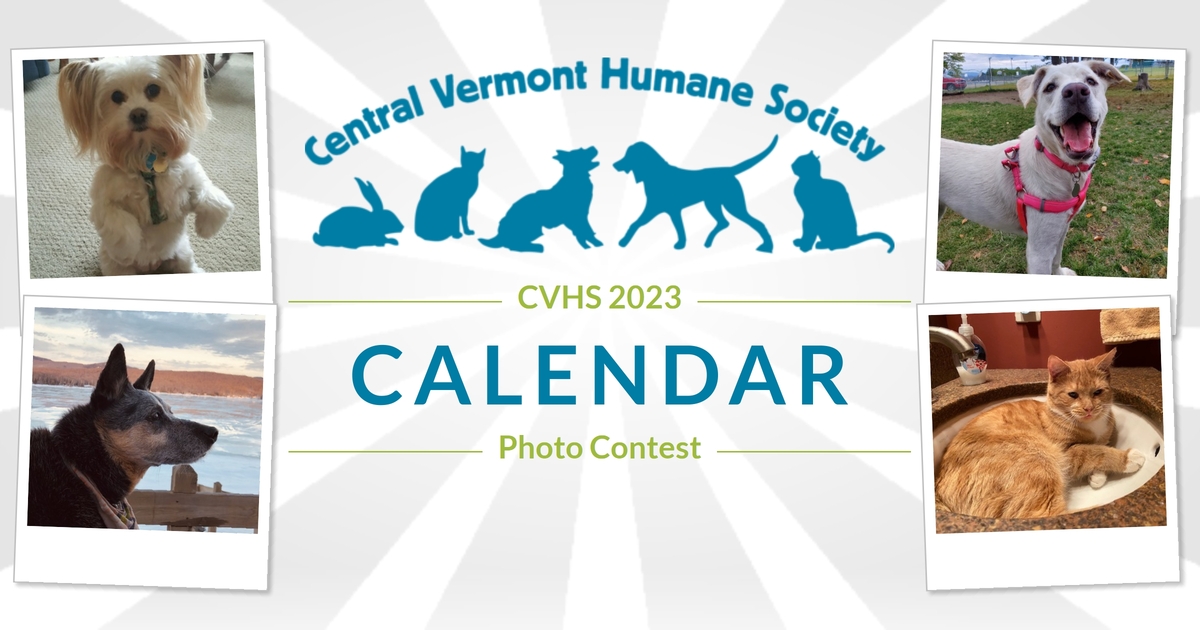 Homepage | Central Vermont Humane Society | CVHS 2023 Calendar Photo ...