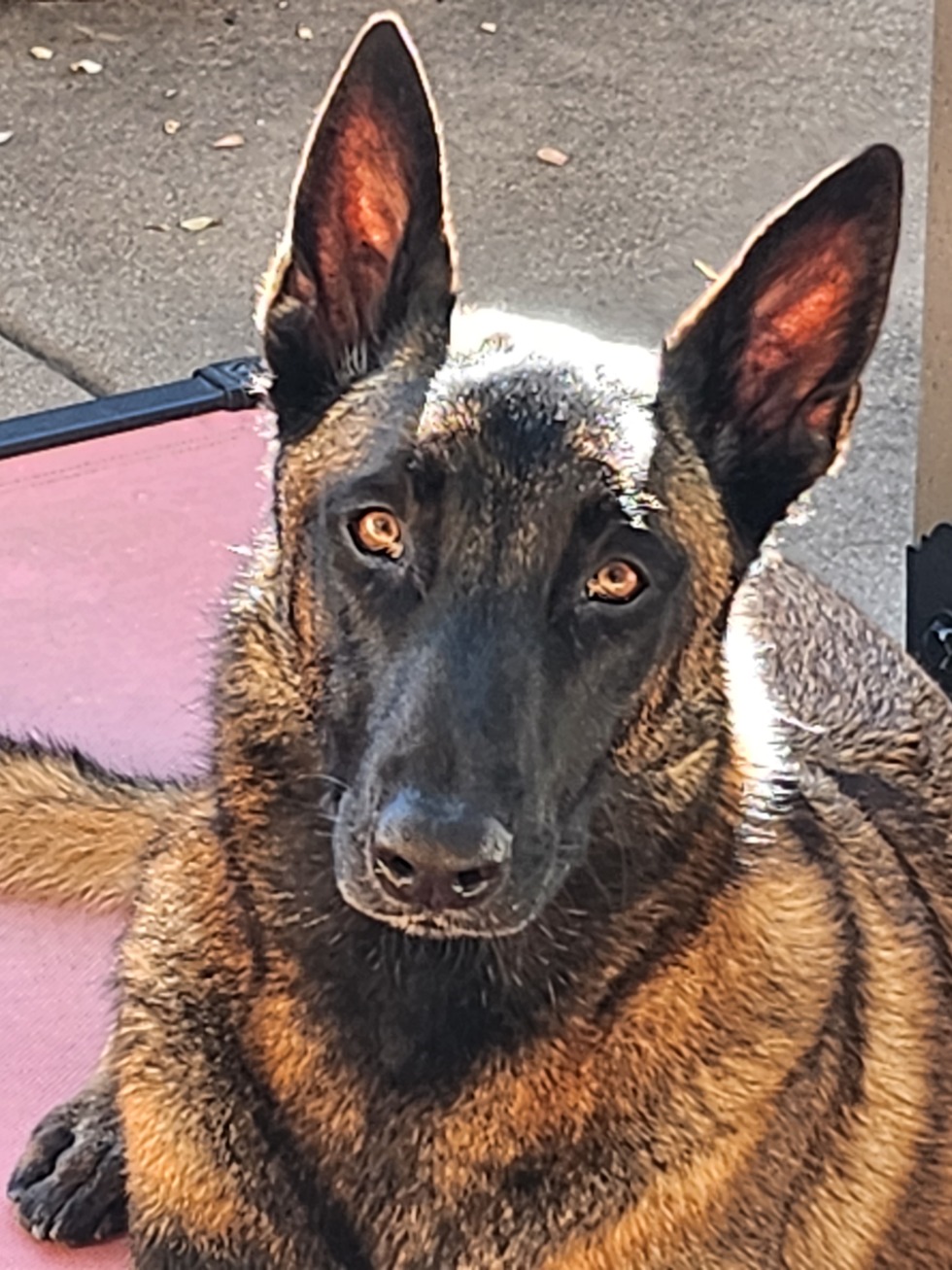 Vote for HUNTRESS | 2025 Photo Fundraiser