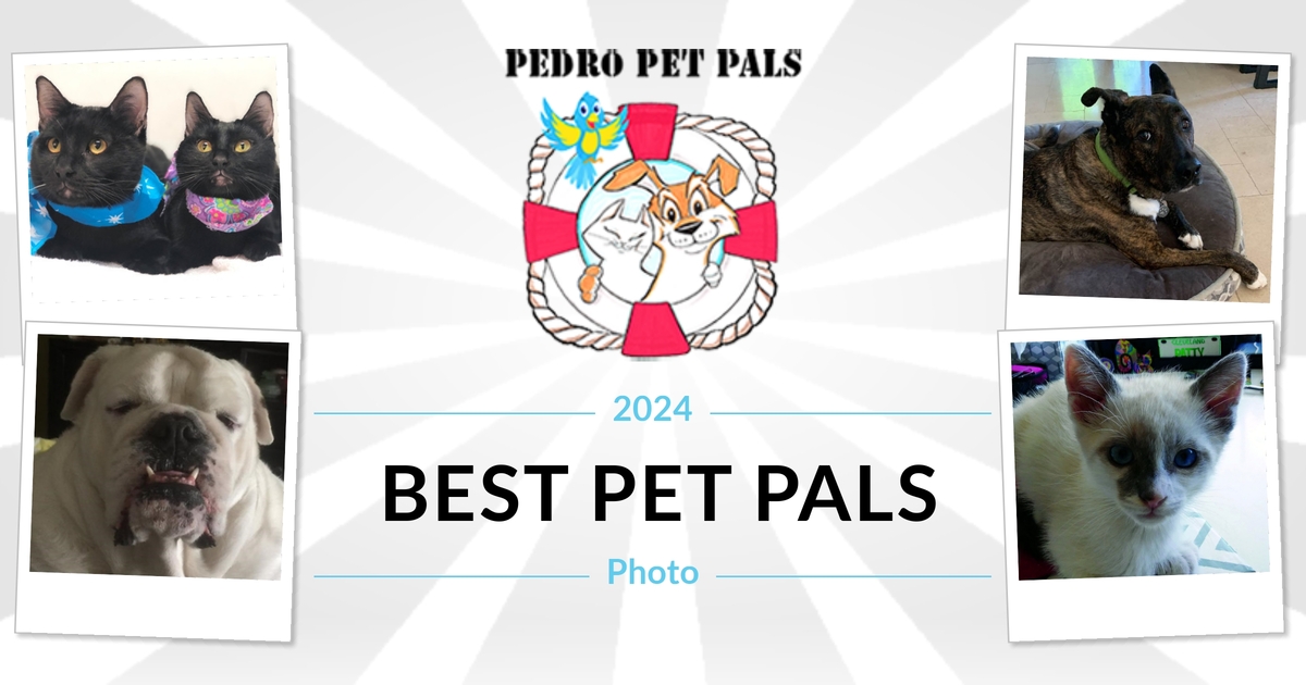 About | Pedro Pet Pals | Best Pet Pals Photo Contest