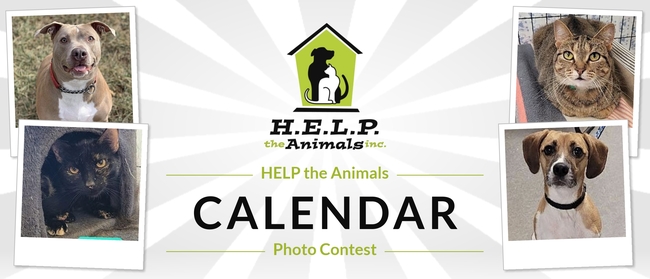 HELP the Animals | HELP the Animals Photo Calendar Contest