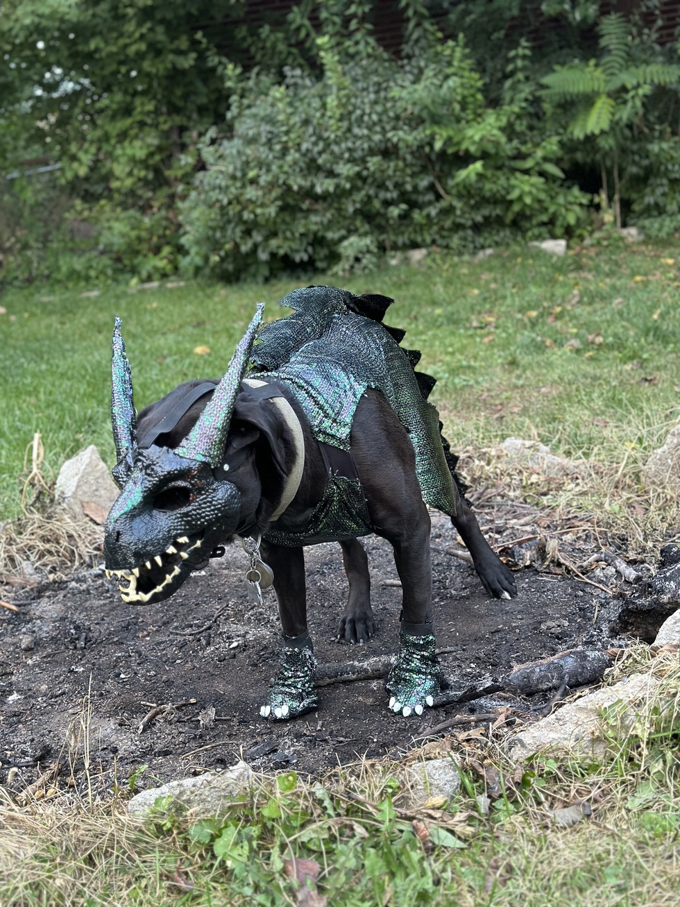 Vote for Xander Elliott | Spooktacular FoDACC Howl-O-Ween Costume Contest