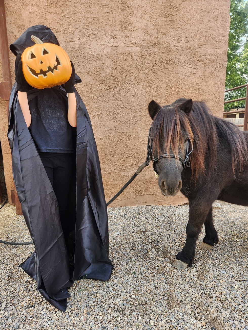 Vote for Lil Bit | Roswell Tumbleweed Pony Club Costume Contest
