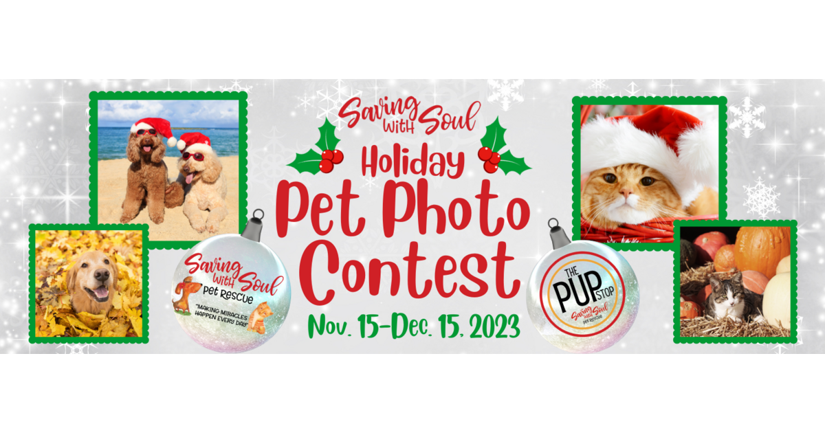 Saving with Soul Pet Rescue | Saving with Soul’s Holiday Pet Photo Contest