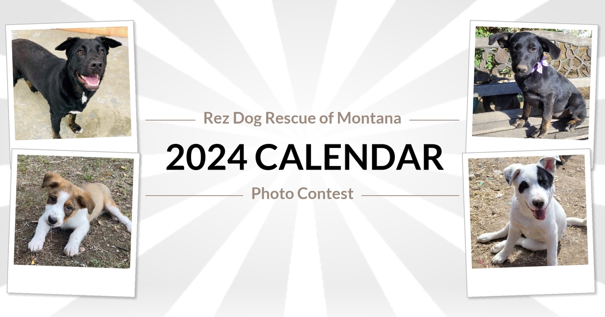 Rules | Rez Dog Rescue of Montana | Rez Dog Rescue of Montana Calendar ...
