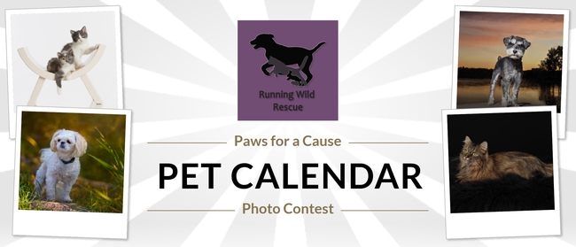 Brice Photography | Paws for a Cause Pet Calendar Contest