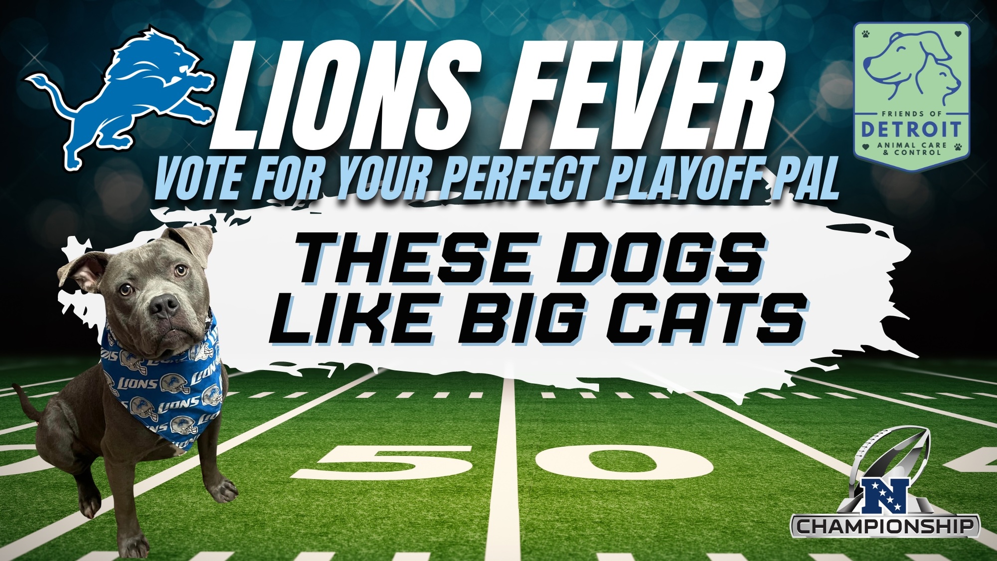 Prizes | Friends of Detroit Animal Care and Control | Lions Fever: Vote ...