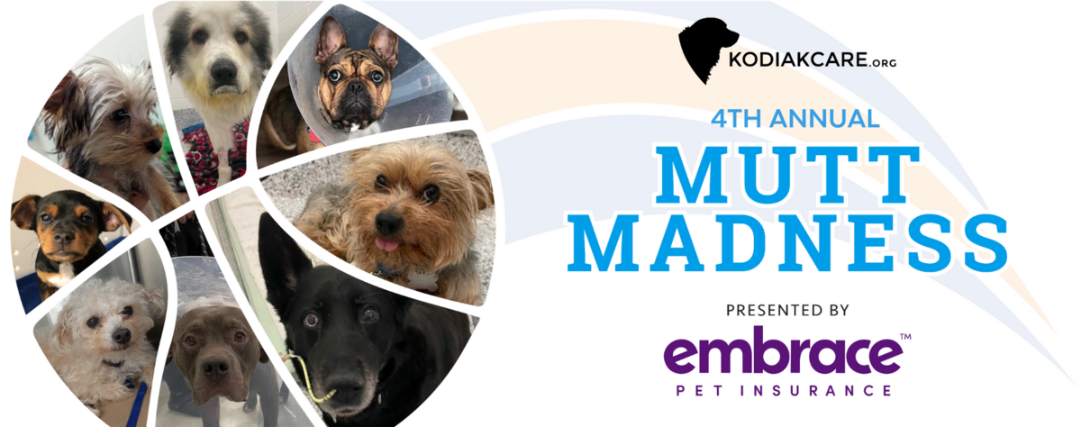 KodiakCare | Mutt Madness