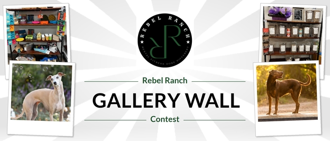 About Us | Rebel Ranch | Rebel Ranch Gallery Wall Contest