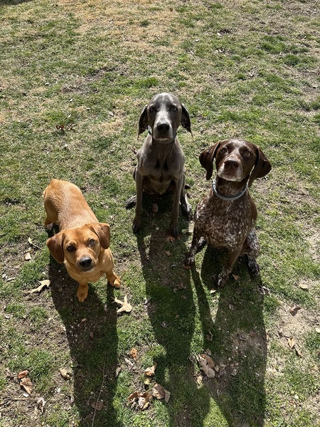 Vote for Mac Sloan, Riley, Clarissa | Who's Your Lucky Charm? Photo Contest