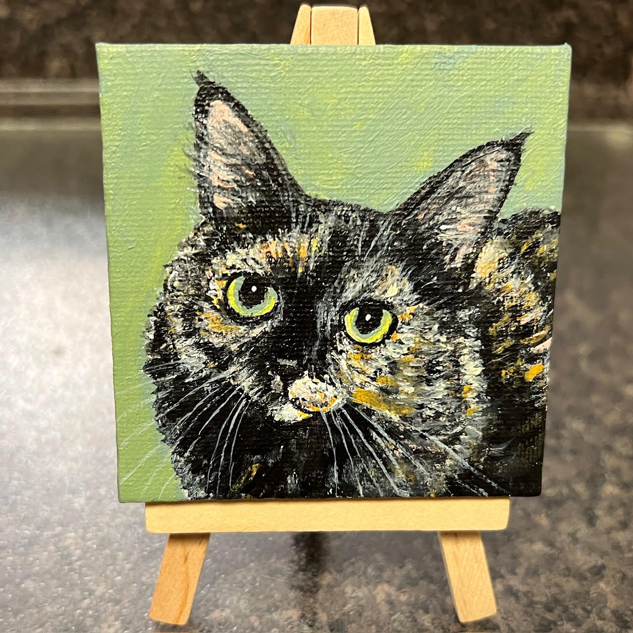 Nine Lives Foundation | Luck of the Draw