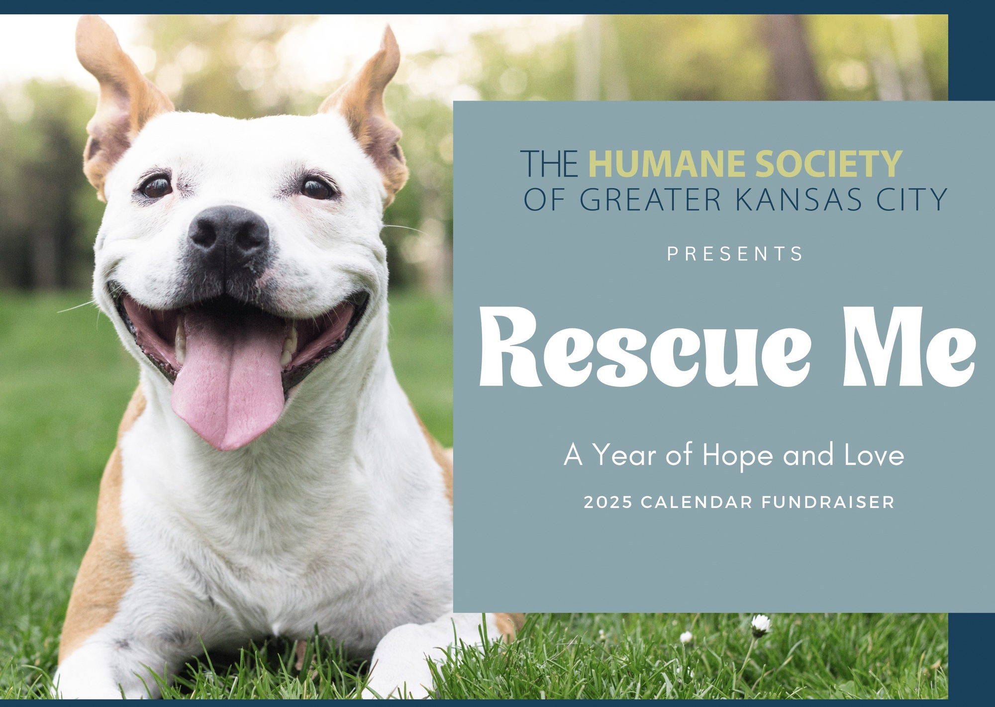 About Us | Humane Society of Greater Kansas City | Rescue Me : A Year ...
