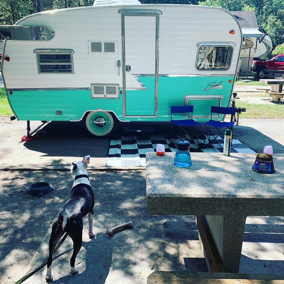 Vote for Cyrus | UHCCF's Pic My Pet Photo Contest