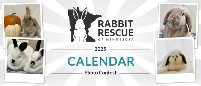 Rabbit Rescue of MN | Rabbit Rescue of Minnesota 2025 Calendar Photo ...