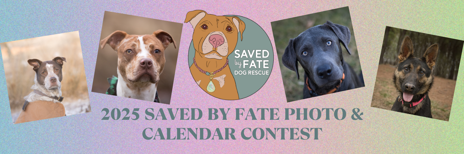 Rules | Saved by Fate Dog Rescue | 2025 Saved By Fate Photo & Calendar ...