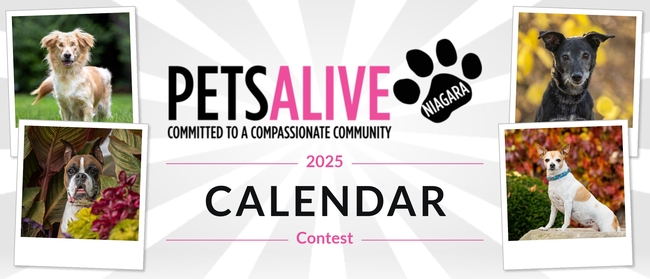 Pets Alive Niagara | Pets Alive Niagara 2025 Calendar Contest