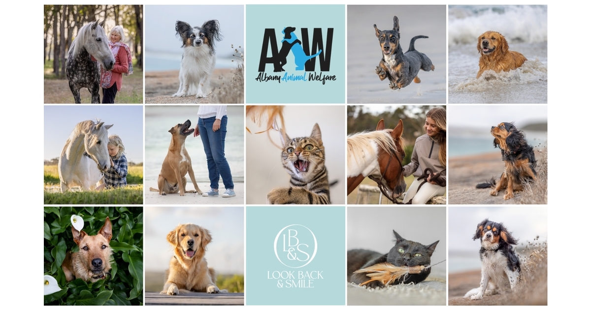 Albany Animal Welfare | Albany Animal Welfare Calendar Contest – 2025 ...