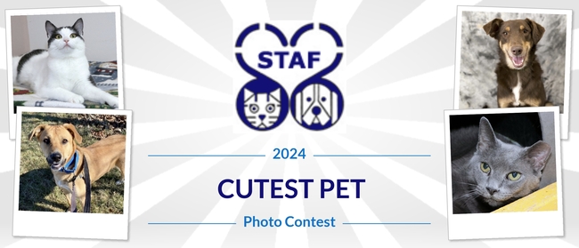 Save the Animals Foundation | 2024 Cutest Pet Photo Contest
