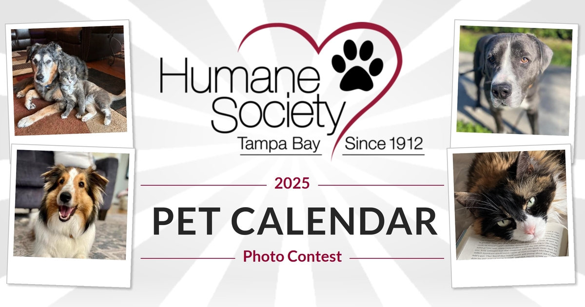 Humane Society of Tampa Bay | Humane Society of Tampa Bay’s 2025 ...