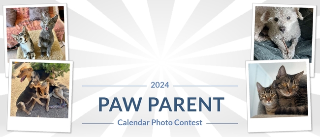 Paw Parent | Paw Parent Calendar Photo Contest
