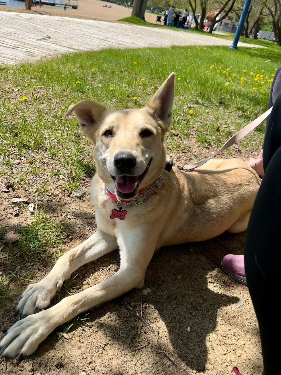 Vote for Lexi | WHS Pets on Pints