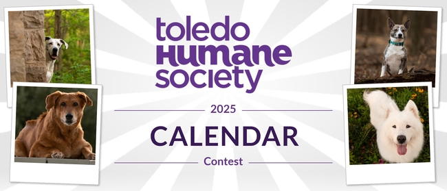 Toledo Humane Society | Toledo Humane Society 2025 Calendar Contest