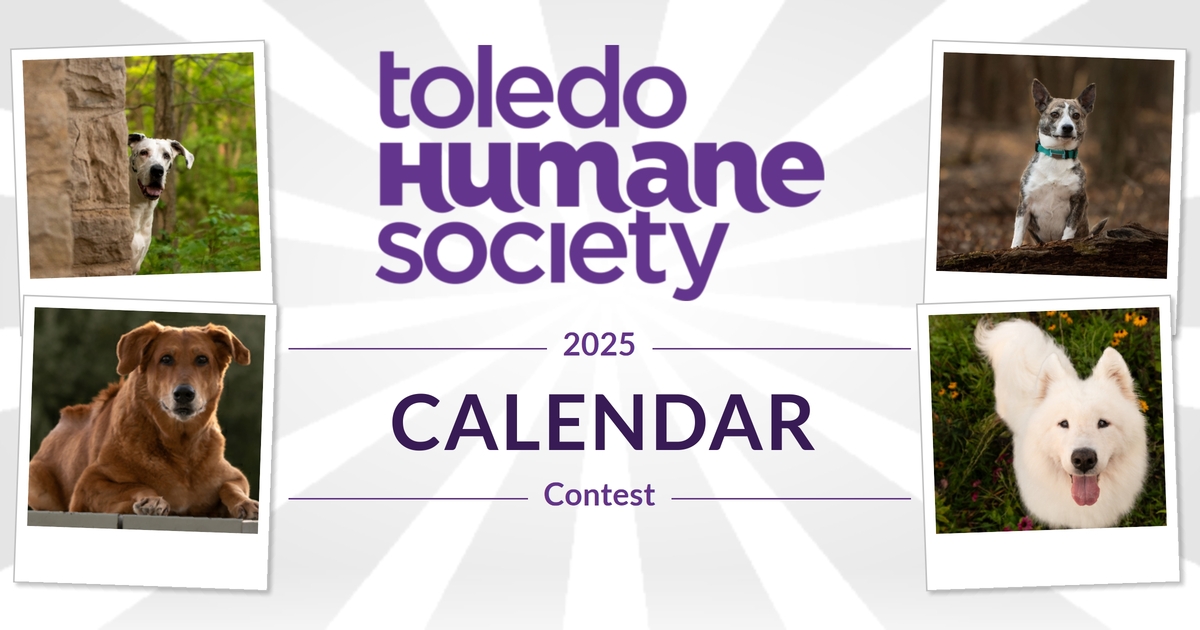 Toledo Humane Society | Toledo Humane Society 2025 Calendar Contest
