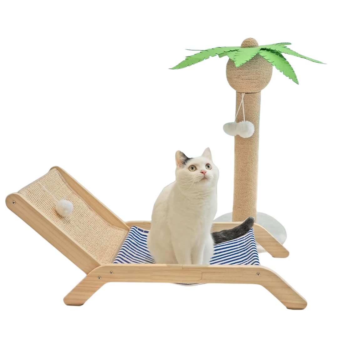 Alley Cat Advocates | 2026 Cat Calendar Contest