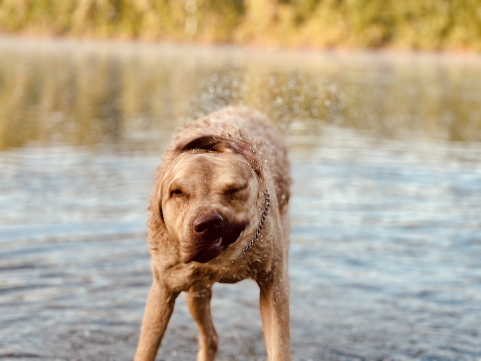 Vote for Duke | 2025 CBRR&R Photo Calendar Contest