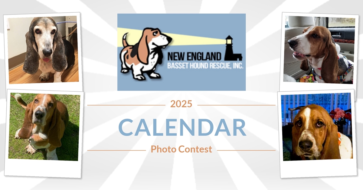bannertemplate-03.jpg?v=4893-12