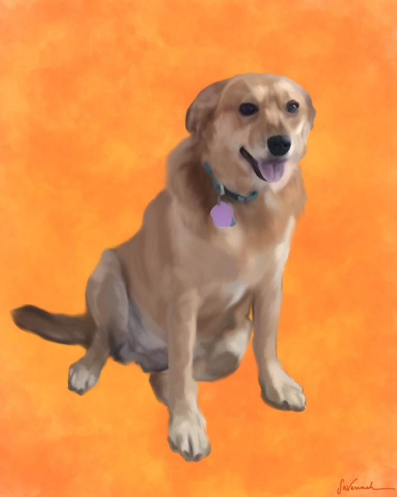 Vote for Katie | 2024 Pet Portrait Contest: A FUNraiser for the Animal ...