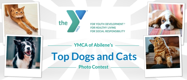 YMCA of Abilene | YMCA of Abilene’s Top Dogs and Cats