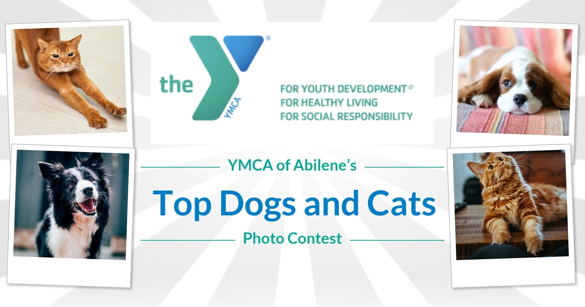 YMCA of Abilene | YMCA of Abilene’s Top Dogs and Cats