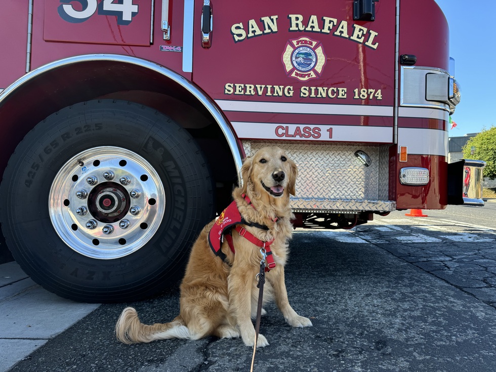 Vote for Kerith | 3rd Annual First Responder Therapy Dog Calendar Contest