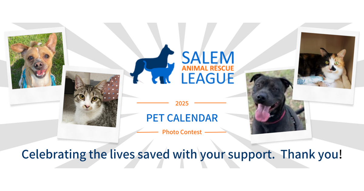 About Us | SALEM ANIMAL RESCUE LEAGUE | SARL'S Pet Calendar Photo Contest