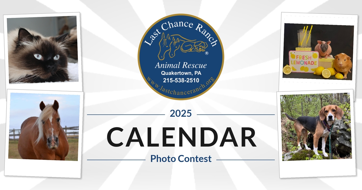 Last Chance Ranch | Last Chance Ranch 2025 Calendar