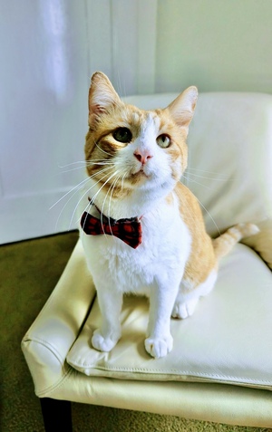 Vote for Buster Lewis | 2025 Calendar Photo Contest