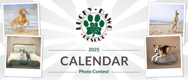 Lucky Dawg Animal Rescue | Lucky Dawg Animal Rescue Calendar Contest
