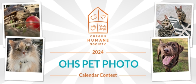 bannertemplate-01.jpg?v=5009-41