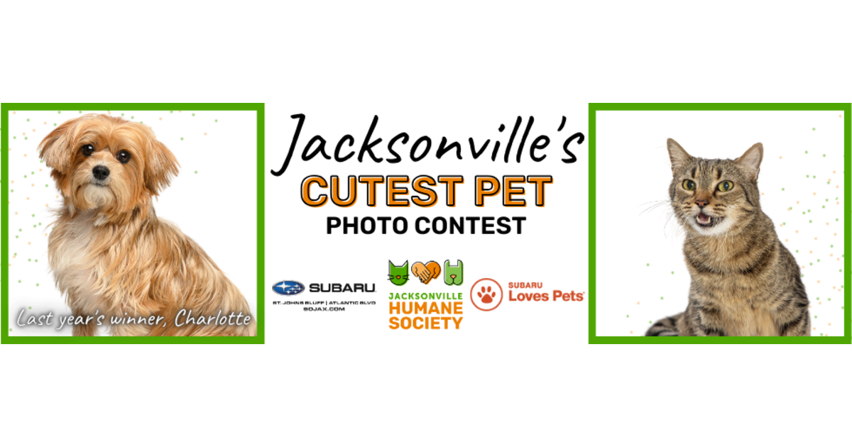 Jacksonville Humane Society | Jacksonville's Cutest Pet Contest