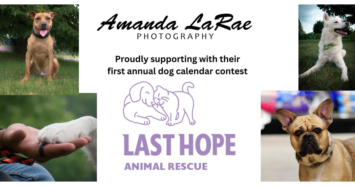 Last Hope Animal Rescue | Support a Good Paws