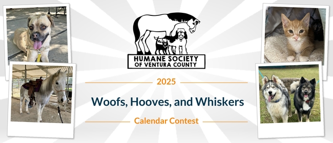 Prizes | Humane Society of Ventura County | Woofs, Hooves and Whiskers ...