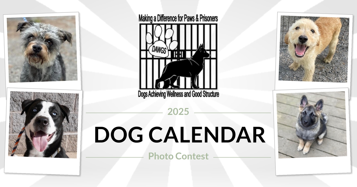 DAWGS Prison Program | 2025 ParoleePaws Dog Calendar