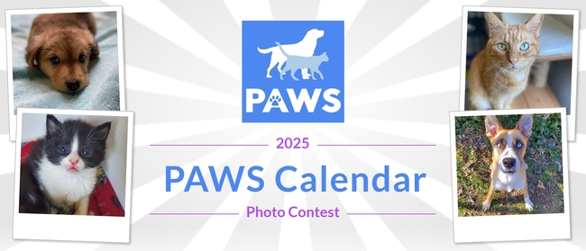 Rules | Paris Animal Welfare Society | PAWS Calendar Contest