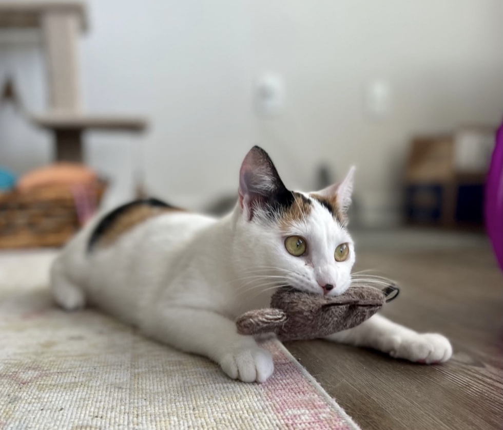 Vote for Meela | Capture the Love: Annual Calendar Photo Contest