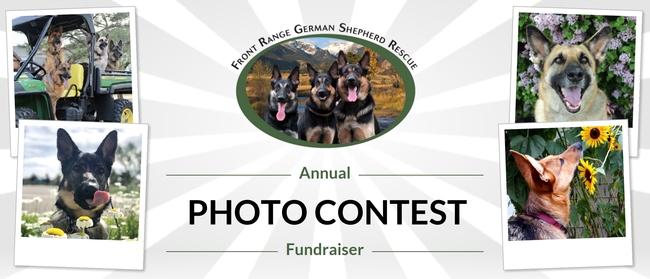 Front Range German Shepherd Rescue | Annual Calendar Photo Contest ...