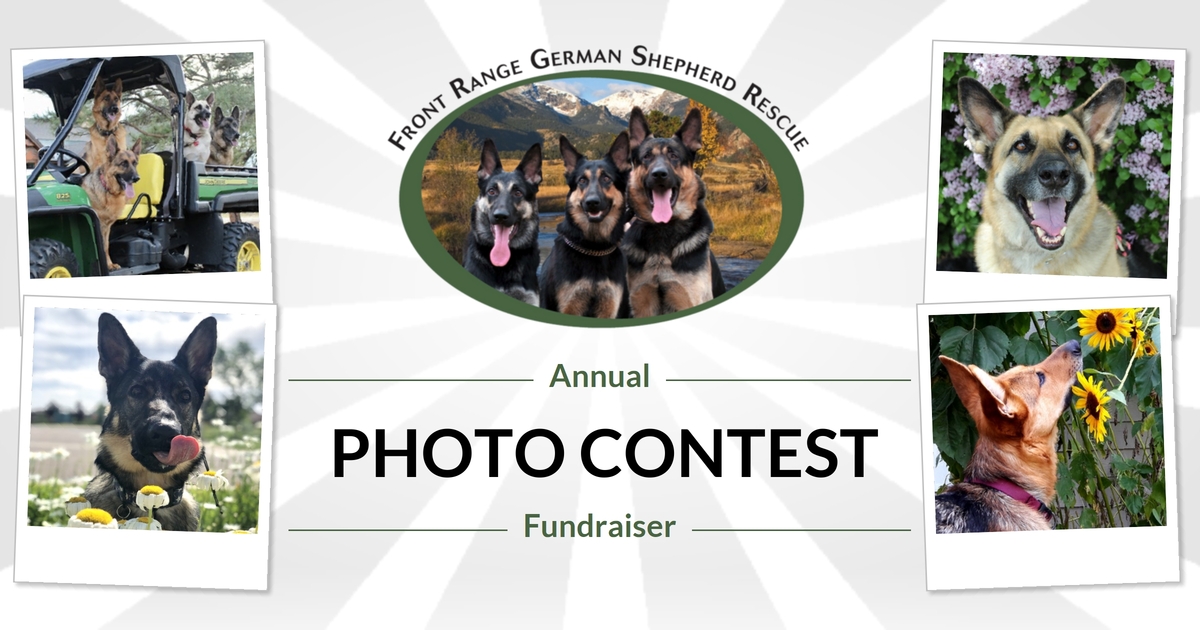 Front Range German Shepherd Rescue | Annual Calendar Photo Contest ...