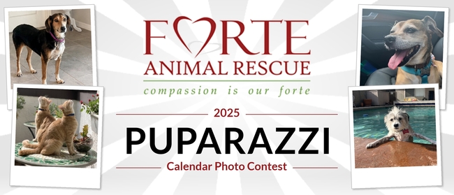 Forte Animal Rescue | Puparazzi Photo Contest